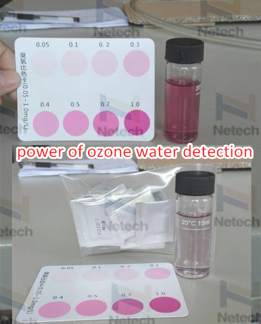 Ozone Detector / Ozone Concentration Monitor 220V For Ozone Generator ...
